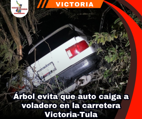 Árbol evita que auto caiga a voladero en la carretera Victoria-Tula ...